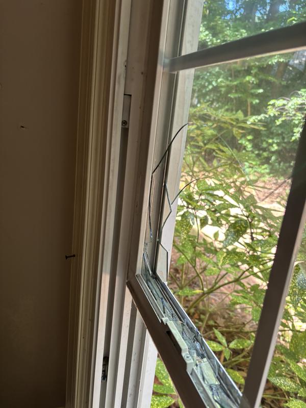 RELIABILT 11/16-in x 1-3/8-in x 12-ft Primed Finger Jointed Pine 163 ...