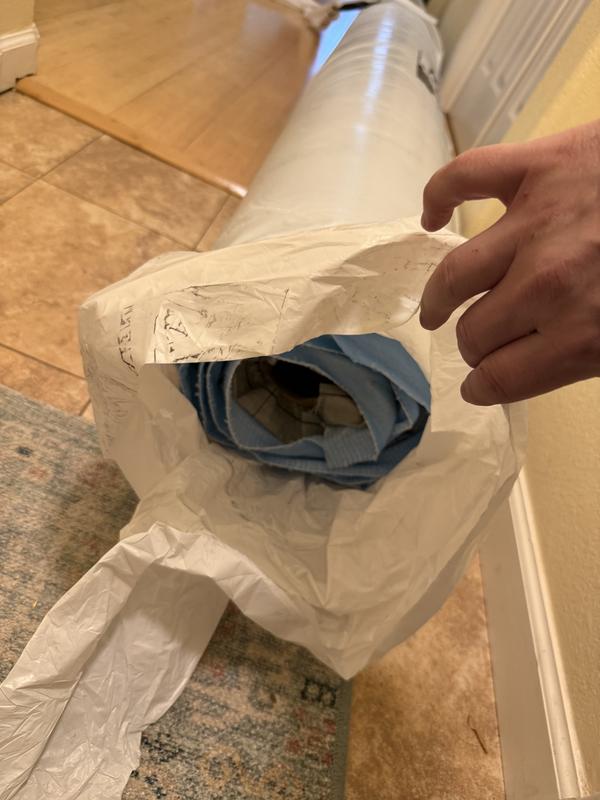 STAINMASTER PetProtect with LeakDefense Terrific Tails II Cafe Latte ...