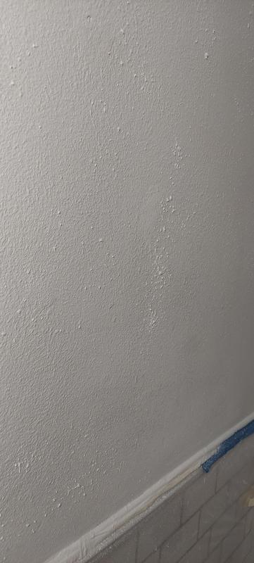 DAP 2in1 25-fl oz White Knockdown Water-based Wall and Ceiling Texture ...