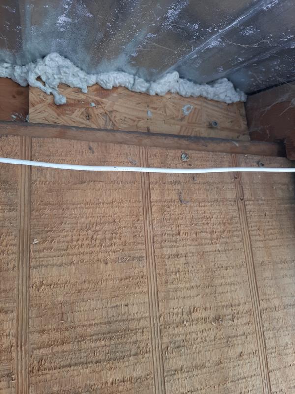 TOMCAT Rodent Block Expanding Foam Barrier Rat Prevent 4418510 at Lowes.com