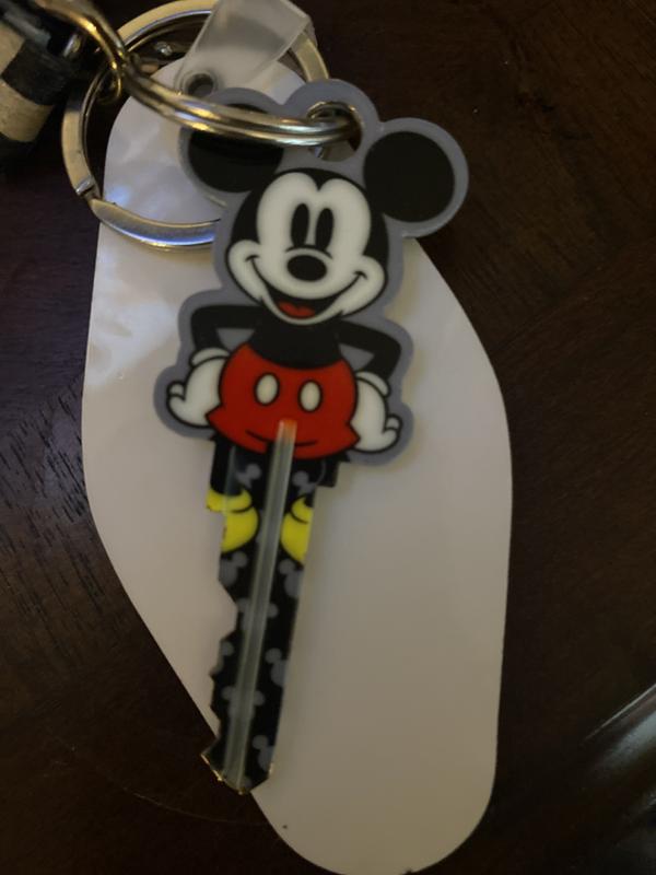 Hillman Multicolored Disney Key Brass House/Entry Key Blank in the Key ...