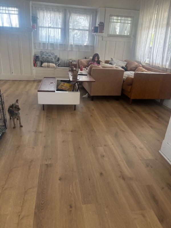 Pergo TimberCraft +WetProtect with Underlayment Attached Spring Bank ...