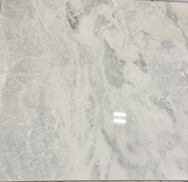Satori Eden Ice 24-in x 24-in Polished Porcelain Wall Tile (3.87-sq. ft ...