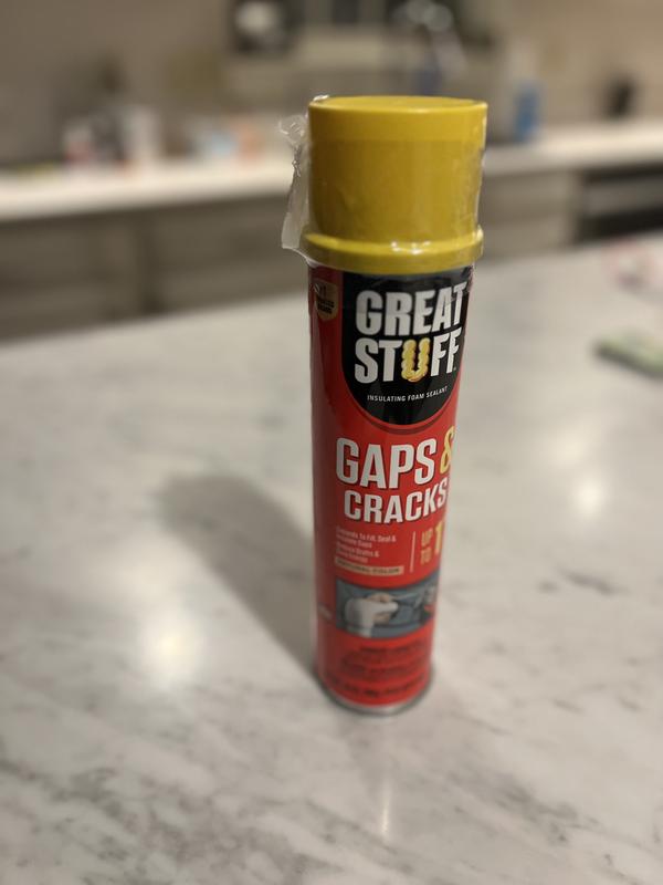 GREAT STUFF Gaps and Cracks 20-oz Straw Indoor/Outdoor Spray Foam ...