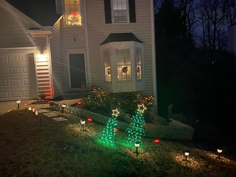 Upsimples 2 Pack Lighted Christmas Trees 150 Warm White LEDs Metal Wire ...