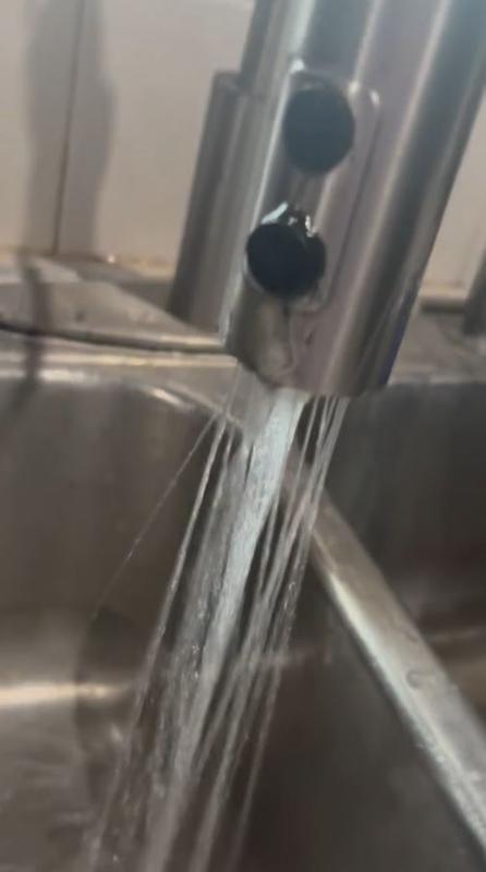 Project Source Flynt Stainless Steel Single Handle Pull-down Kitchen ...