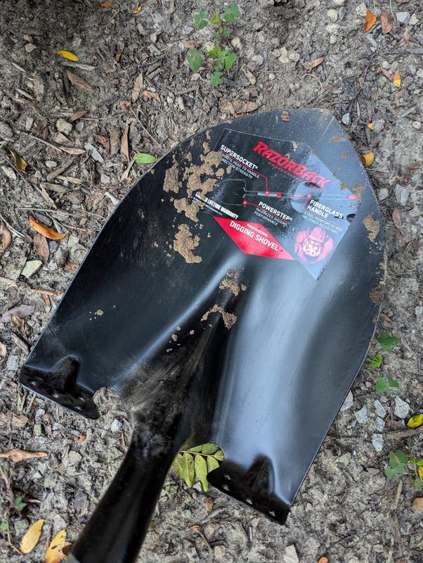 Razor-Back 49-in Fiberglass Handle Digging shovel in the Shovels ...