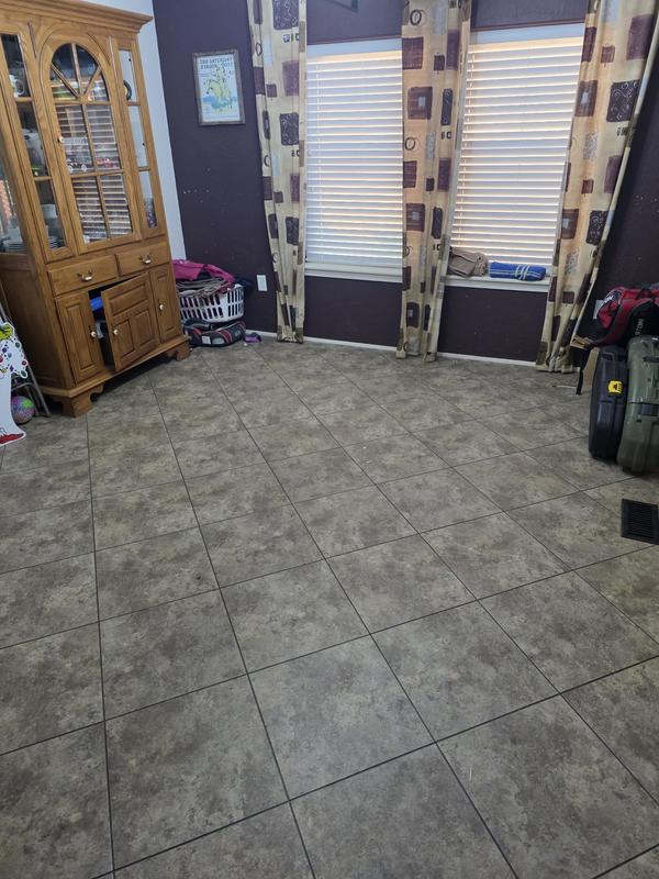STAINMASTER PetProtect with LeakDefense Bone Appetit Cityline Gray 40.9 ...