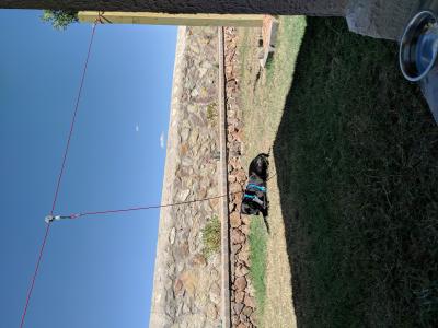 Blue Hawk 75-ft Weldless Galvanized-red Vinyl Coated Steel Cable ...