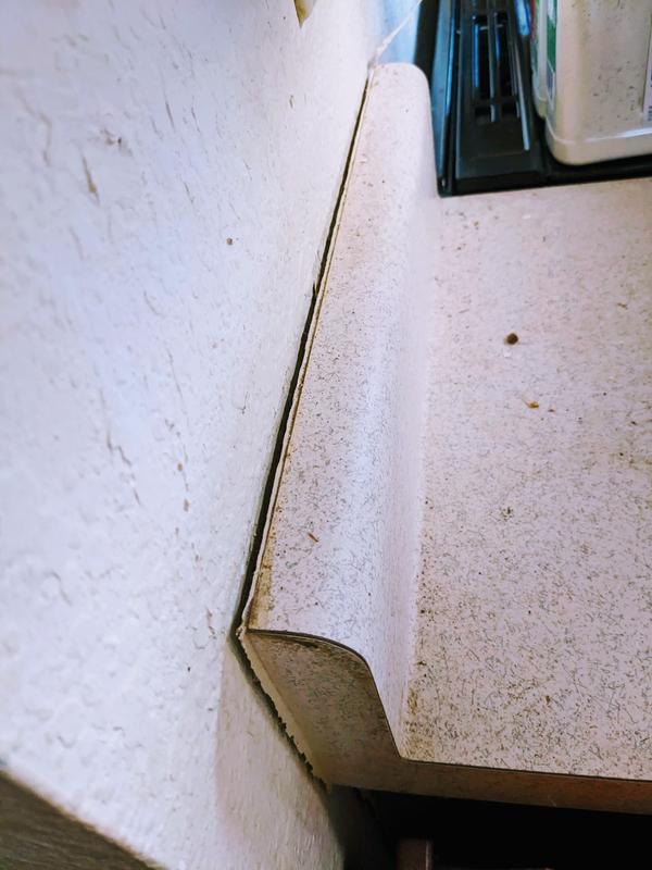 Project Source 2-Pack Caulk Finishing Tool 59998 at Lowes.com