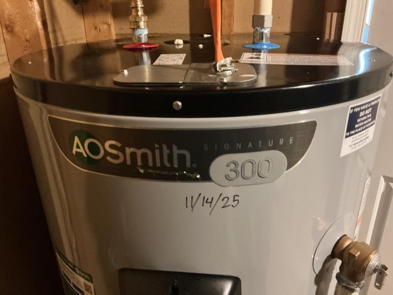 Shop A.O. Smith Signature 300 50-Gallons Short 5500-watt Double Element ...