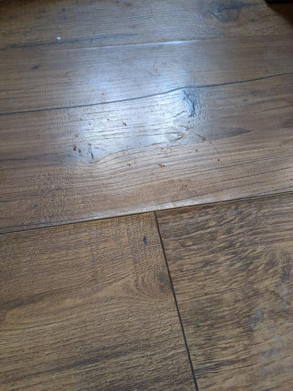 Pergo Portfolio + WetProtect Rustic Amber Chestnut 10-mm T x 7-1/2-in W ...