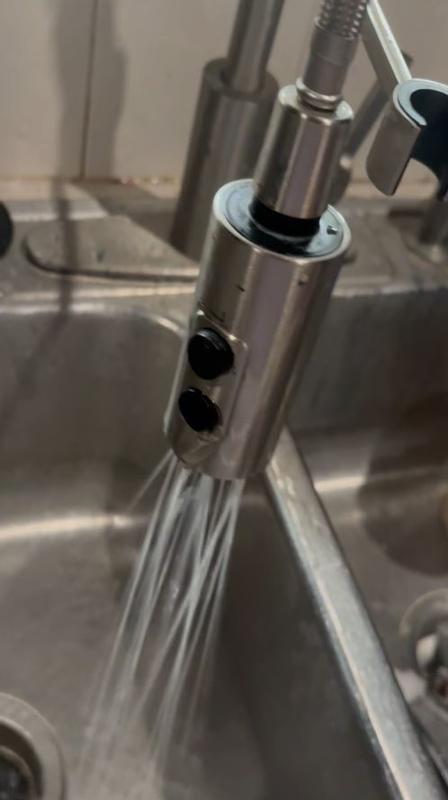 Project Source Flynt Stainless Steel Single Handle Pull-down Kitchen ...