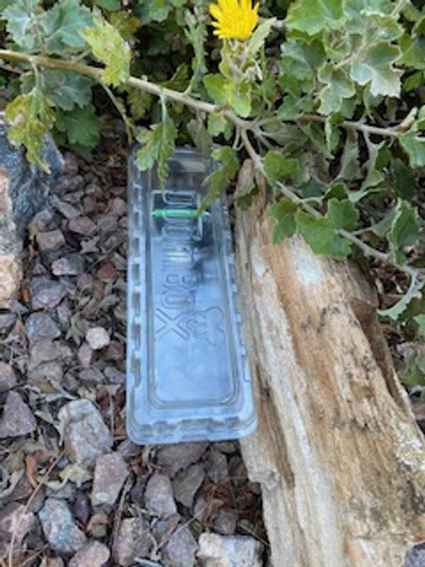 DoomBox Enclosed Tunnel Trap for Mice - Odorless Indoor/Outdoor Device ...