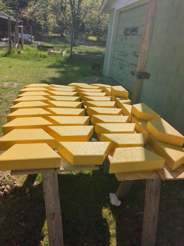 Oldcastle 12-in L x 5-in W x 2-in H Trapezoid Rio Blend Concrete Patio ...