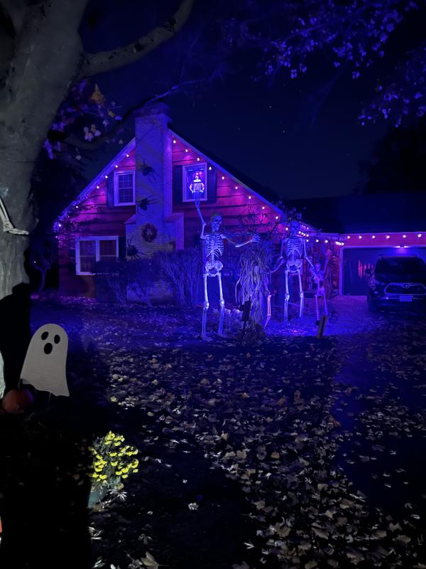 Haunted Living 4-ft Freestanding Window Girl Animatronic in the ...