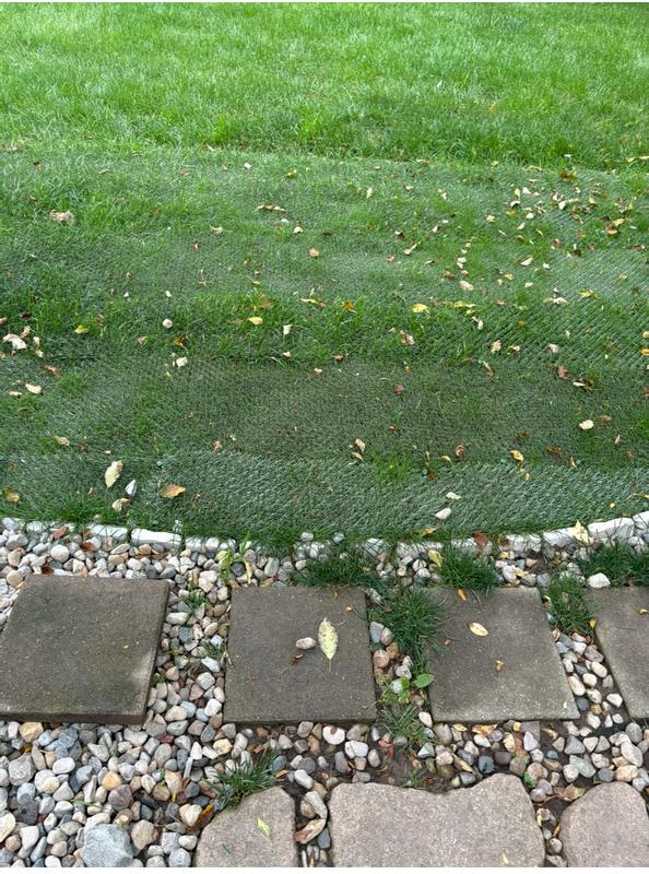 DURAGRASS Hybrid Turf Patch 25-ft-ft x 3-ft Artificial Grass 10377010 ...