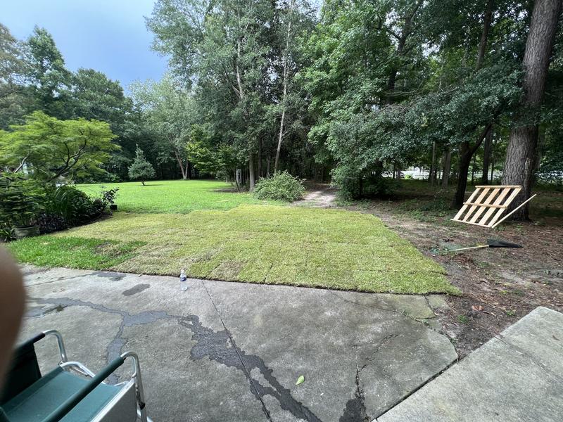 Harmony Outdoor Brands 500-sq ft Natural Centipede Sod Pallet ...