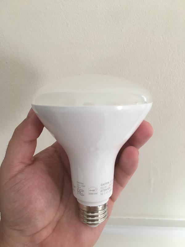 Simply Conserve BR30 65-Watt EQ R30 Soft White Medium Base (e-26 ...