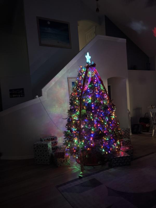 Holiday Living 8-ft x 50 Douglas fir Full Real Christmas Tree in the ...