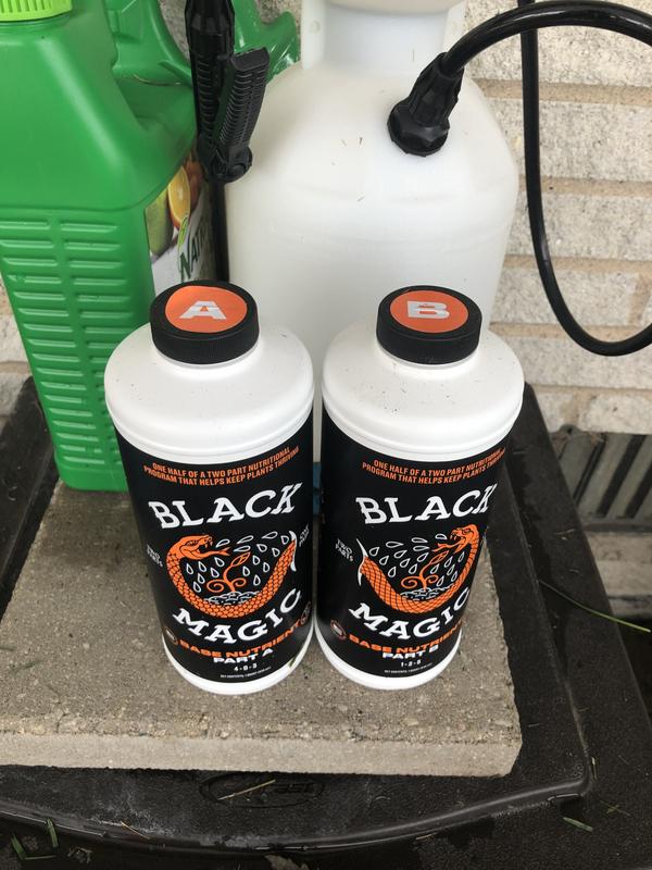 Black Magic Base Nutrient Part B 32-fl oz Hydroponic Plant Food at ...