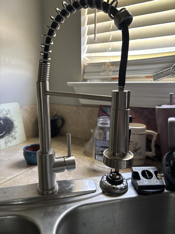 FORIOUS Kitchen Faucet Stainless Steel Single Handle Pull-down Kitchen ...
