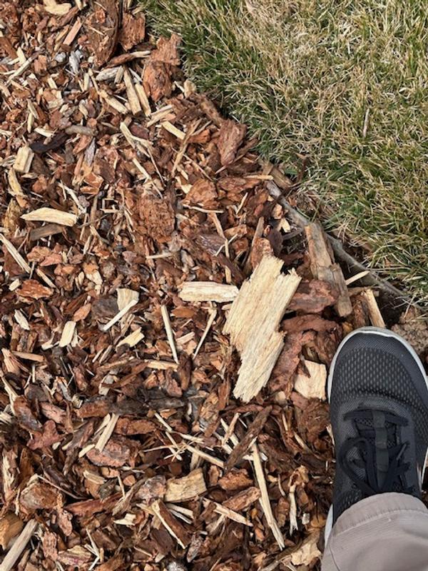 Permagreen 2-cu ft Light Brown Pine Bark Nuggets Mulch 252972 at Lowes.com