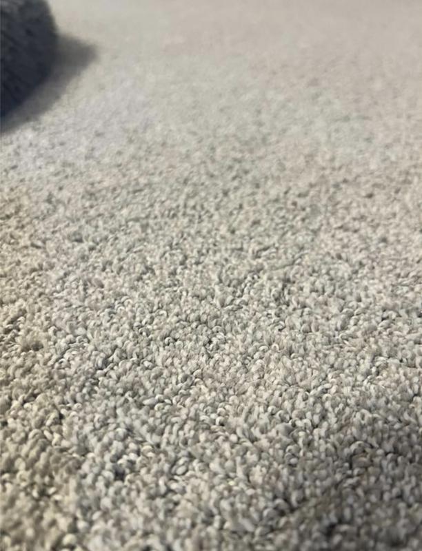 STAINMASTER PetProtect with LeakDefense Terrific Tails II Beige Mist ...