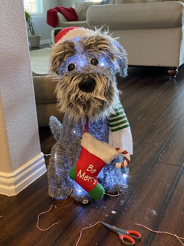 Shop Holiday Living Doggy Days Collection at Lowes.com