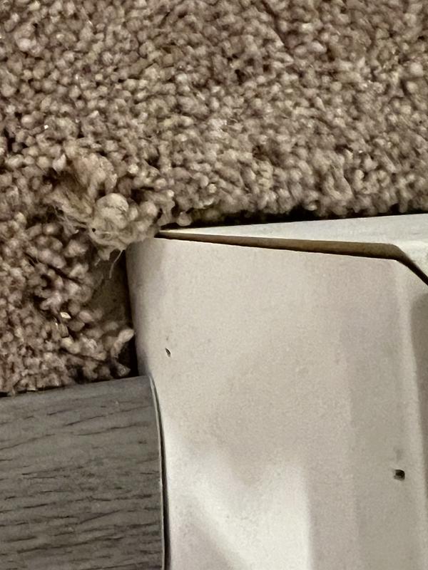 RELIABILT 1/2-in x 5-1/4-in x 12-ft Colonial Primed MDF 163E Baseboard ...