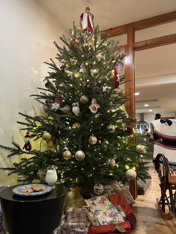 Holiday Living Fraser Fir Real Christmas Tree in the Fresh Christmas ...