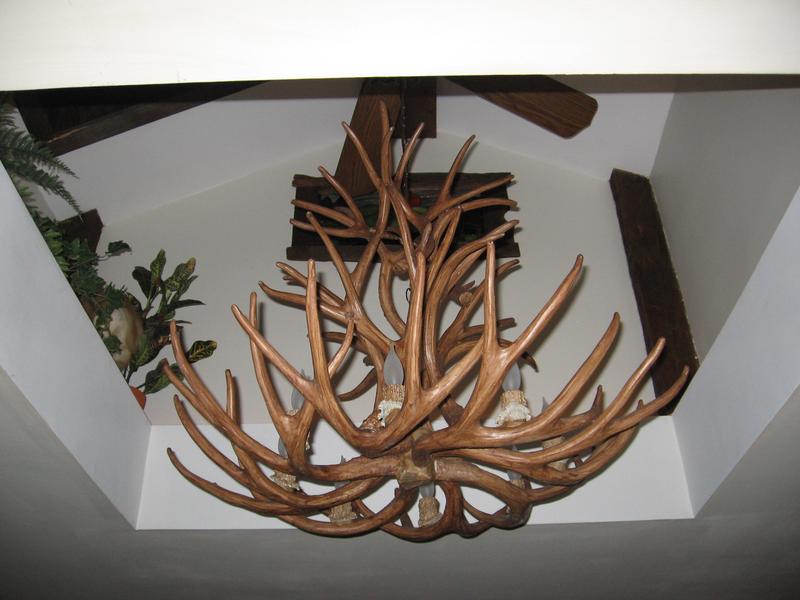 Canadian Antler Design Antler Chandelier 20 -Light Brown Antler Resin ...