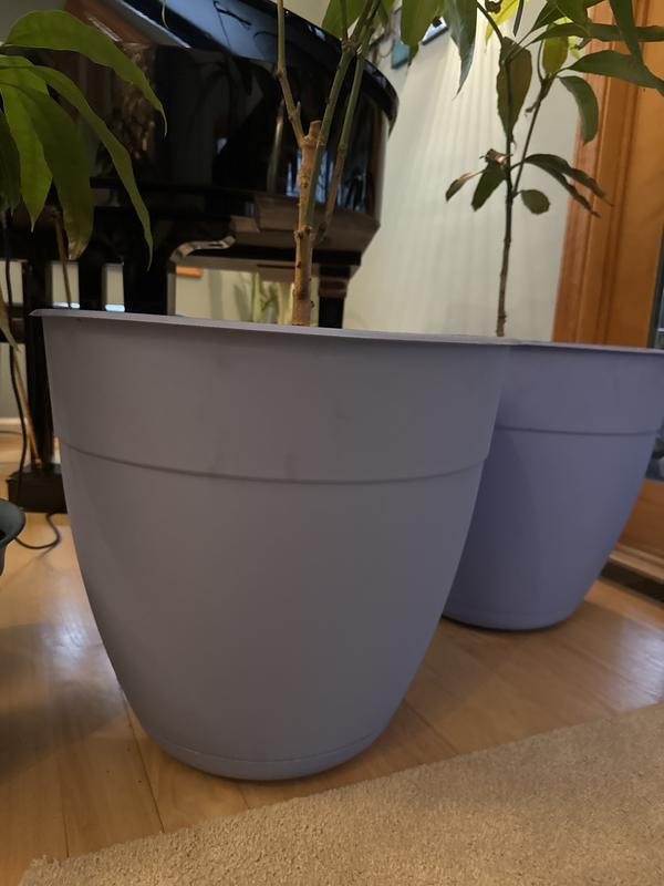Bloem Round 20-in W Large Green Recycled Plastic Indoor/Outdoor Planter ...