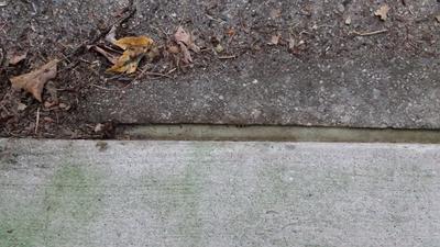 QUIKRETE 0.75-in x 20-ft Closed cell Backer Rod, Gray in the Backer ...