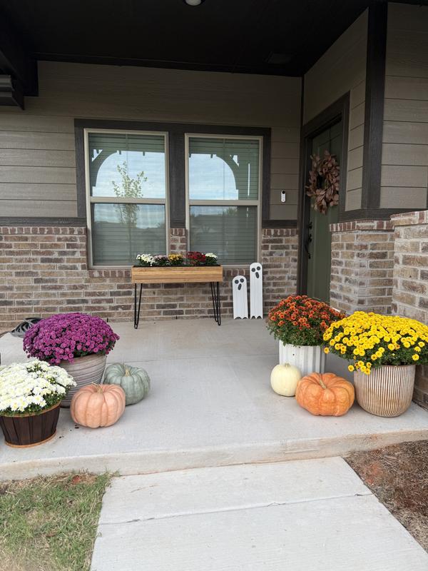 allen + roth Round 11.81-in W x 12.0-in L Multiple colors/finishes ...