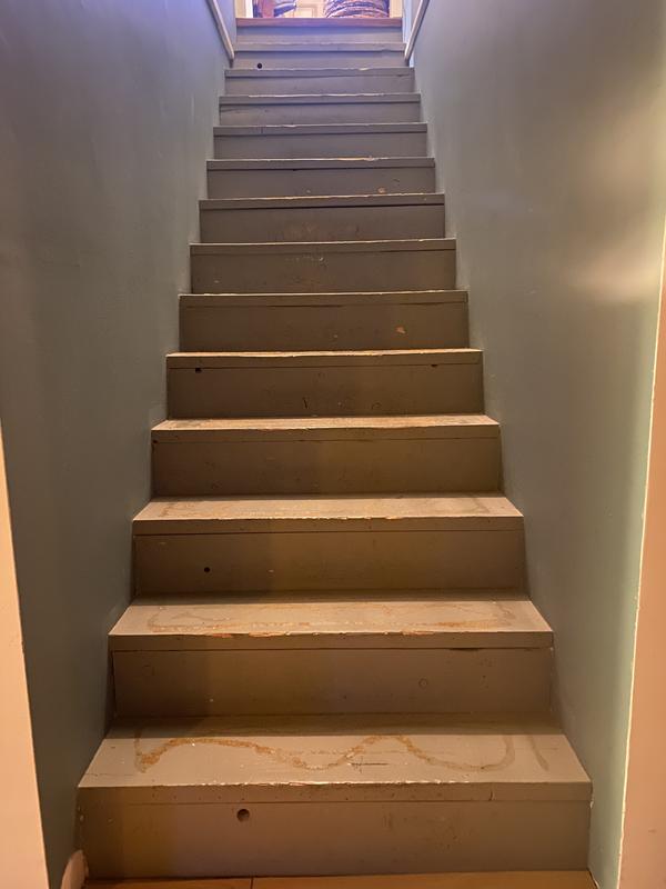 Stairtek Retread 11.5-in x 48-in Cambridge Abbey Oak Laminate Stair ...