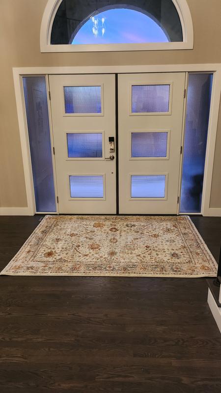 allen + roth with STAINMASTER Camille Border 8 X 10 (ft) Beige Indoor ...