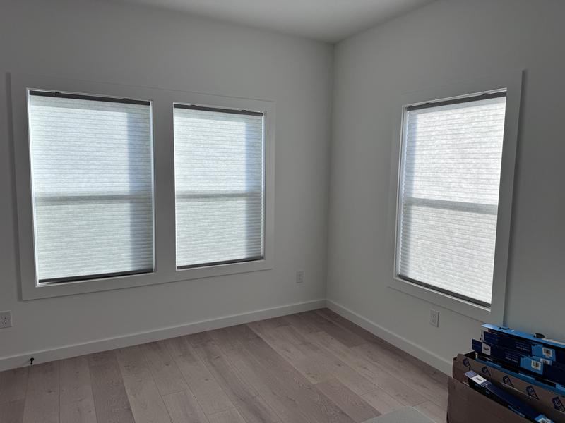LEVOLOR 48-in x 72-in Sand Light Filtering Cordless Cellular Shade ...