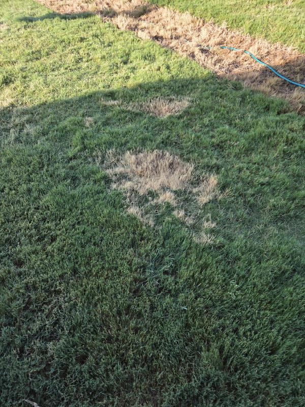 Toro TimeCutter 60-in 24-HP V-twin Gas Zero-turn Riding Lawn Mower ...