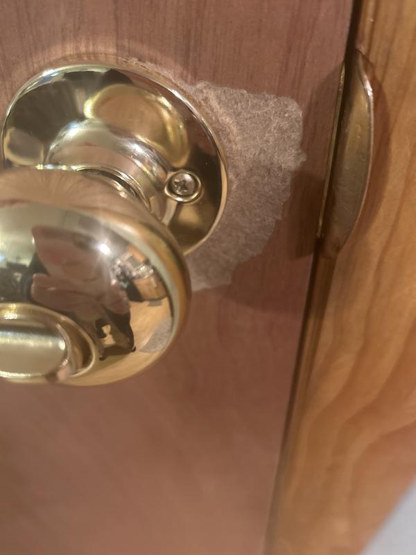 Masonite Traditional 28-in x 80-in Natural Flush Smooth Hollow core ...