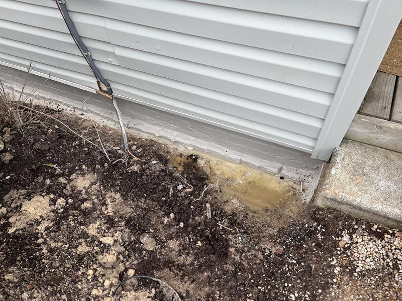 Sika Gray Matte Solid Cement Mildew Resistant Mold Resistant Interior ...