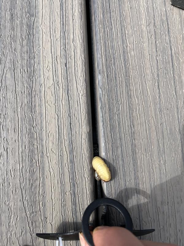 Danco Weeding Tool Multi-Tool 12027 at Lowes.com