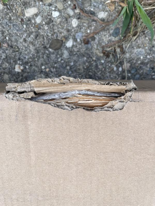 Vita Mezza 4.58-ft W x 7.35-ft H Golden Brown Garden Arbor VA68897 at ...