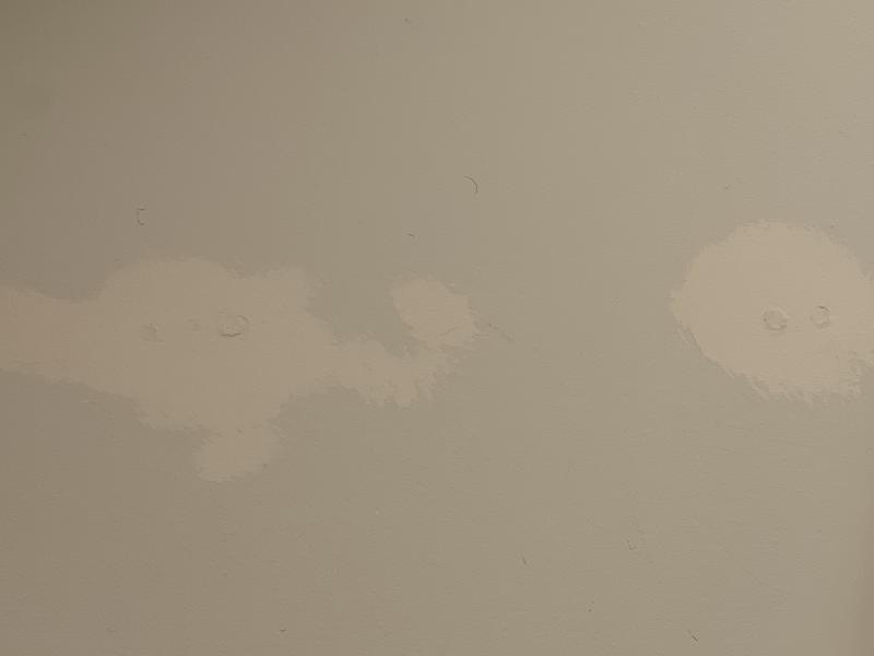 HGTV HOME by Sherwin-Williams Showcase Flat Mattasaurus Rex HGSW2303 ...