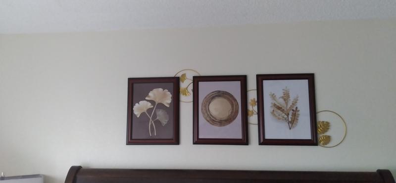 Timeless Frames Walnut Plastic Picture Frame (12-in x 16-in) at Lowes.com