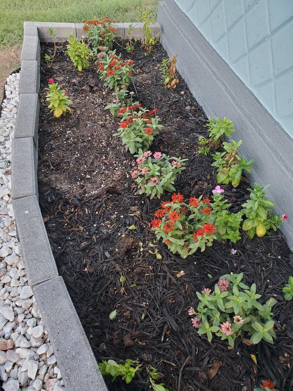 Permagreen 2.0 -cu ft Black Hardwood Decorative bark mulch in the ...
