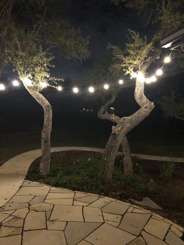 WYZM 50-ft Plug-in Black Indoor/Outdoor String Light with 25 White LED ...