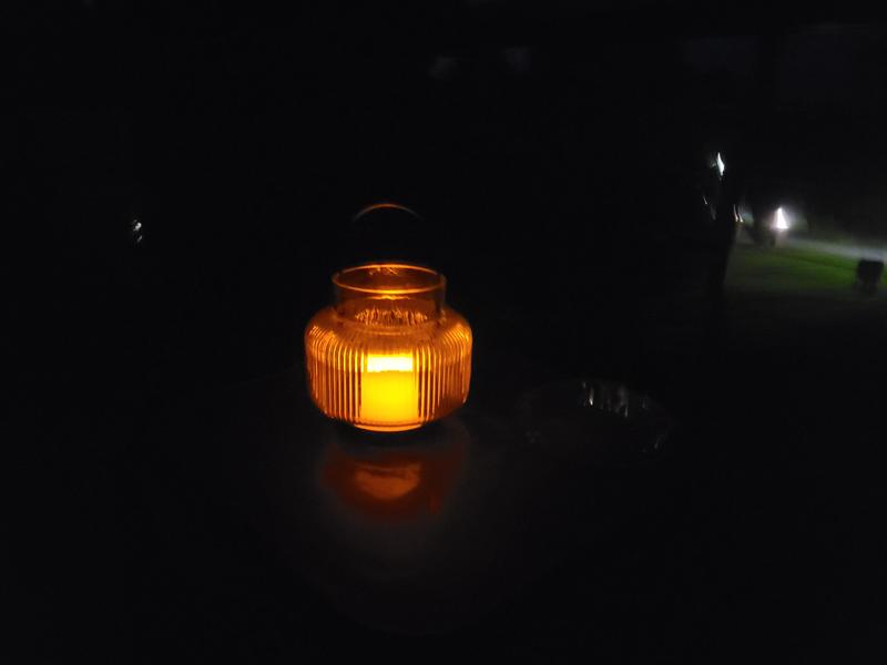 Style Selections 7.28-in x 9.84-in clear Glass LED light Outdoor ...