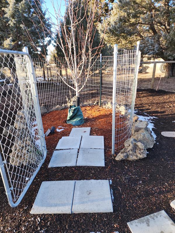 Premium 2.0 -cu ft Red Hardwood Hardwood mulch in the Bagged Mulch ...