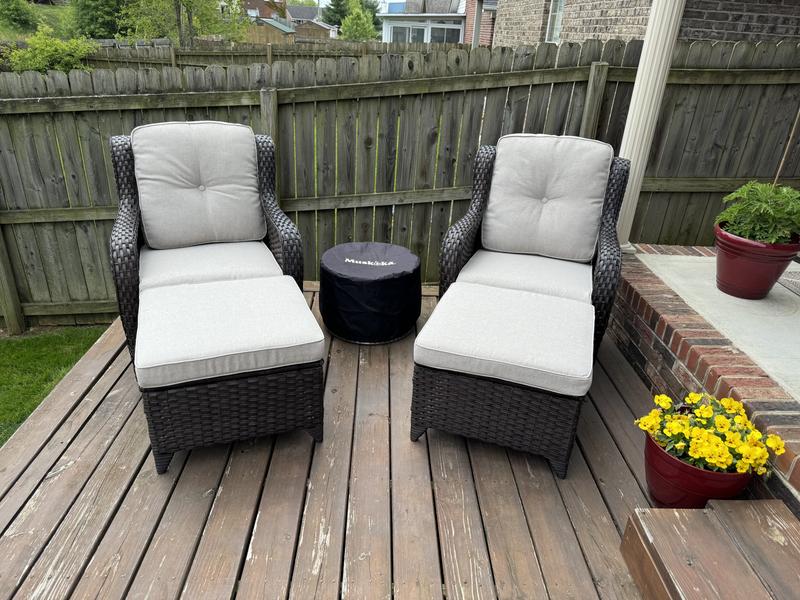 Rilyson Curved handrail Set of 2 Wicker Brown Steel Frame Stationary ...